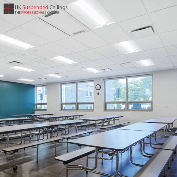 Fine Fissured Square Edge Ceiling Tiles